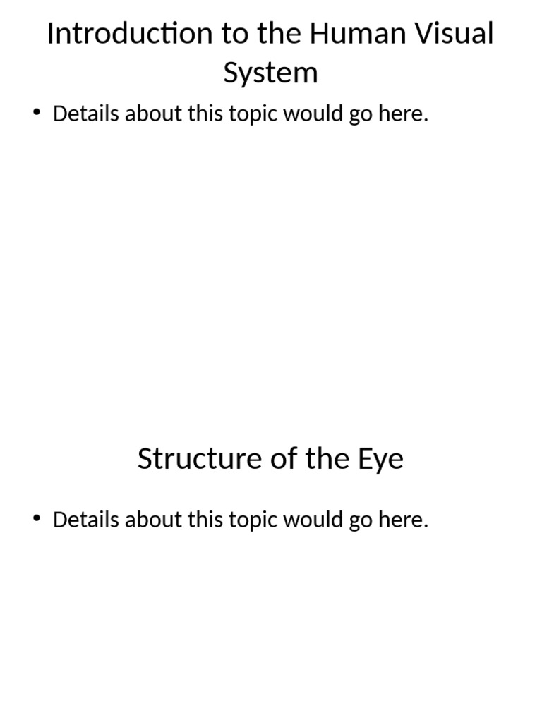 Overview Of The Human Visual System Pdf