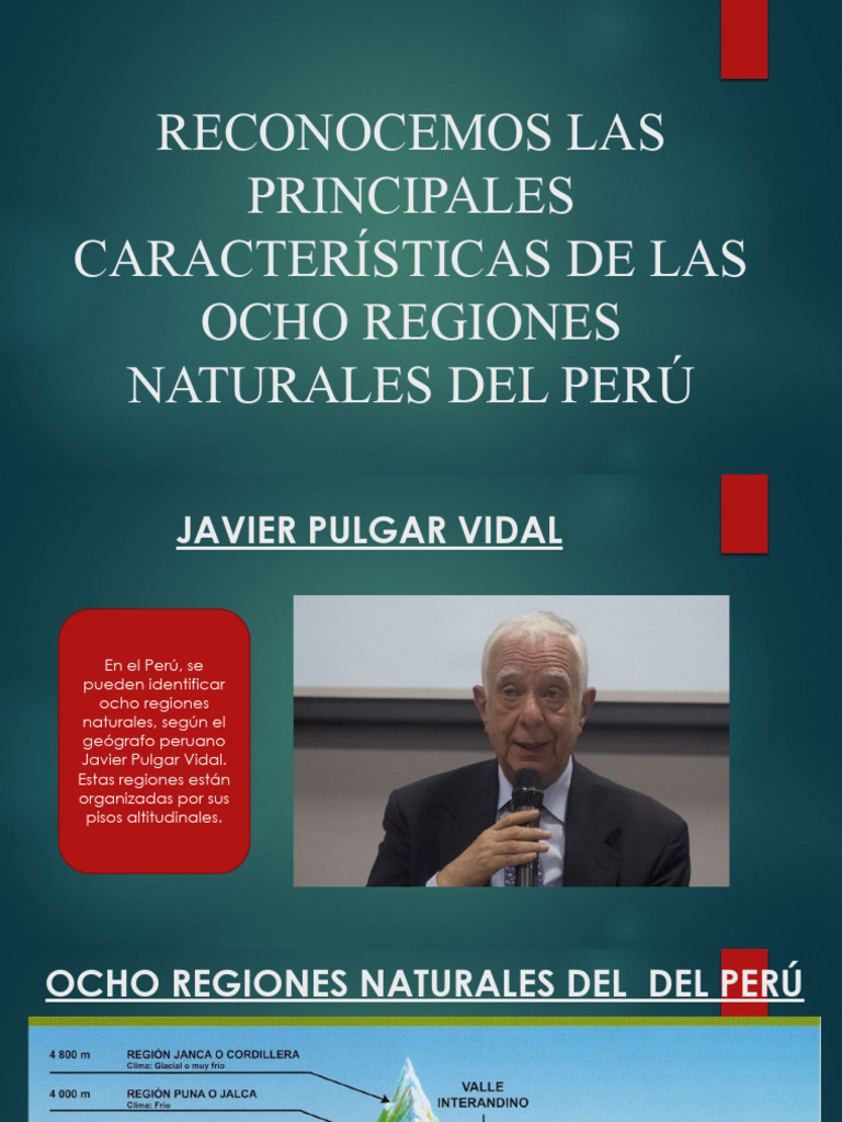 Sesi-N 8 - V Unidad - Las 8 Regiones Naturales Del Per | PDF | Perú ...