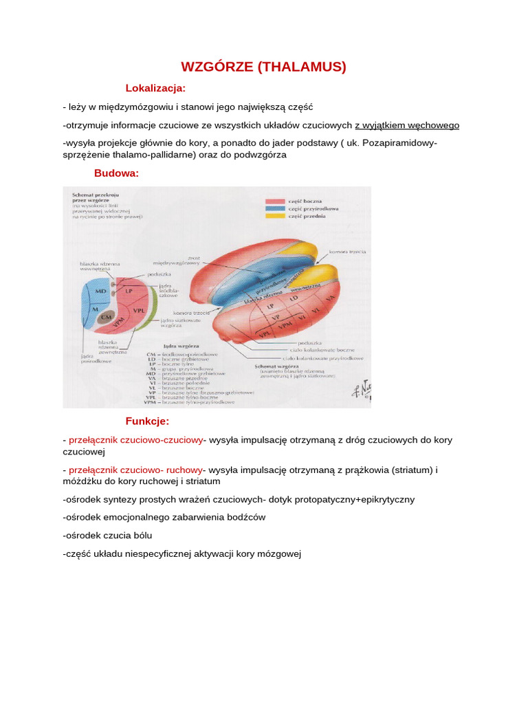 WZGÓRZE | PDF