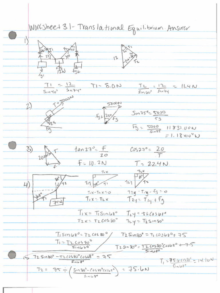 1.5A Translational Equilibrium Worksheet Answers | PDF