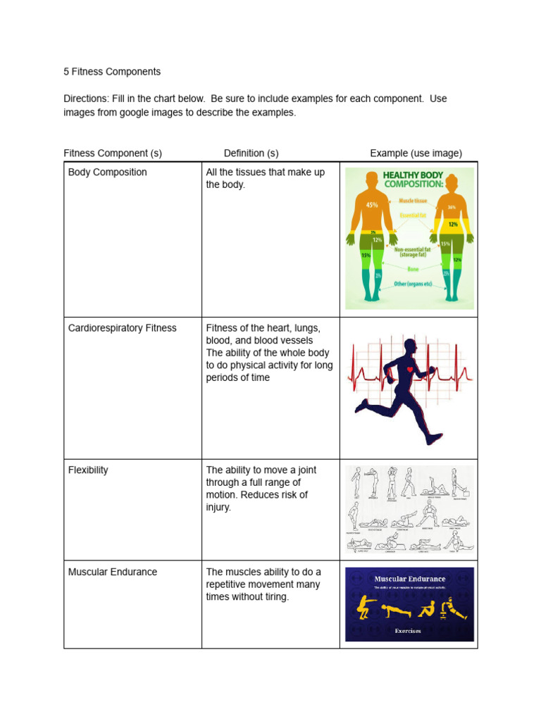 5 Fitness Components | PDF