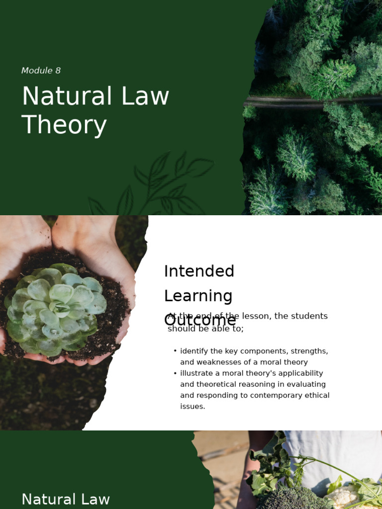 Natural Law Theory | PDF | Natural Law | Reason