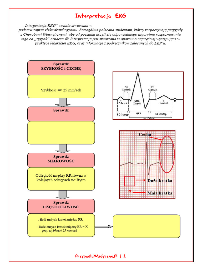 Interpretacja Ekg cz1 | PDF