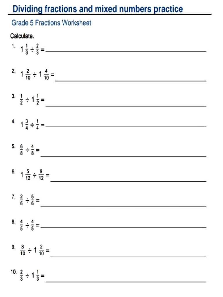 Class 5 ICSE MATHS Division Fraction Worksheet | PDF