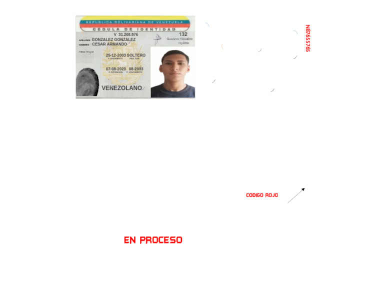 Cedula 1 | PDF