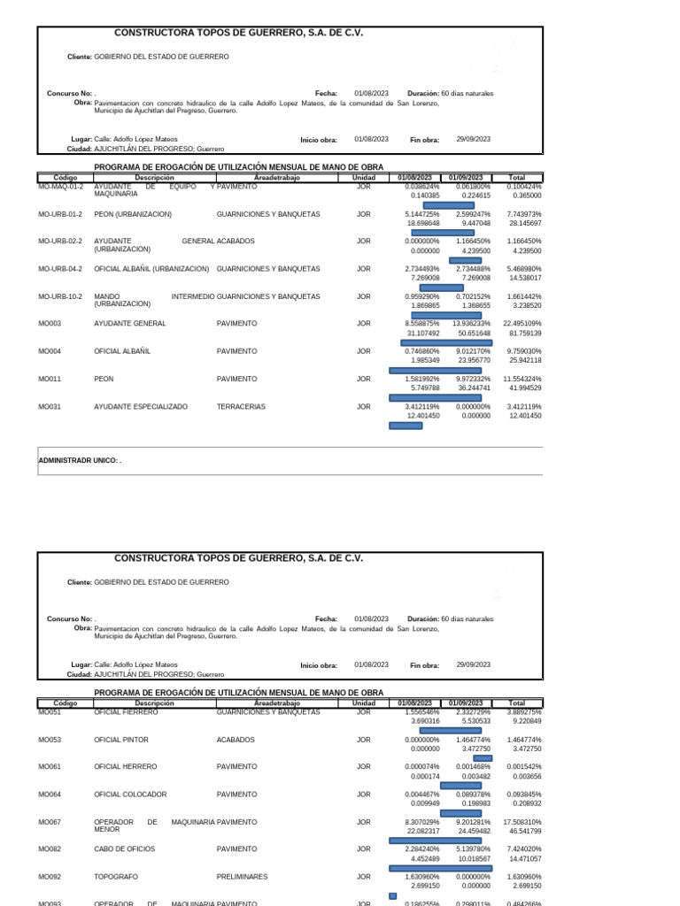 Programa de Suministros - D) Mano de Obra (T) - 3!8!2023 - Hr20Mn1 | PDF