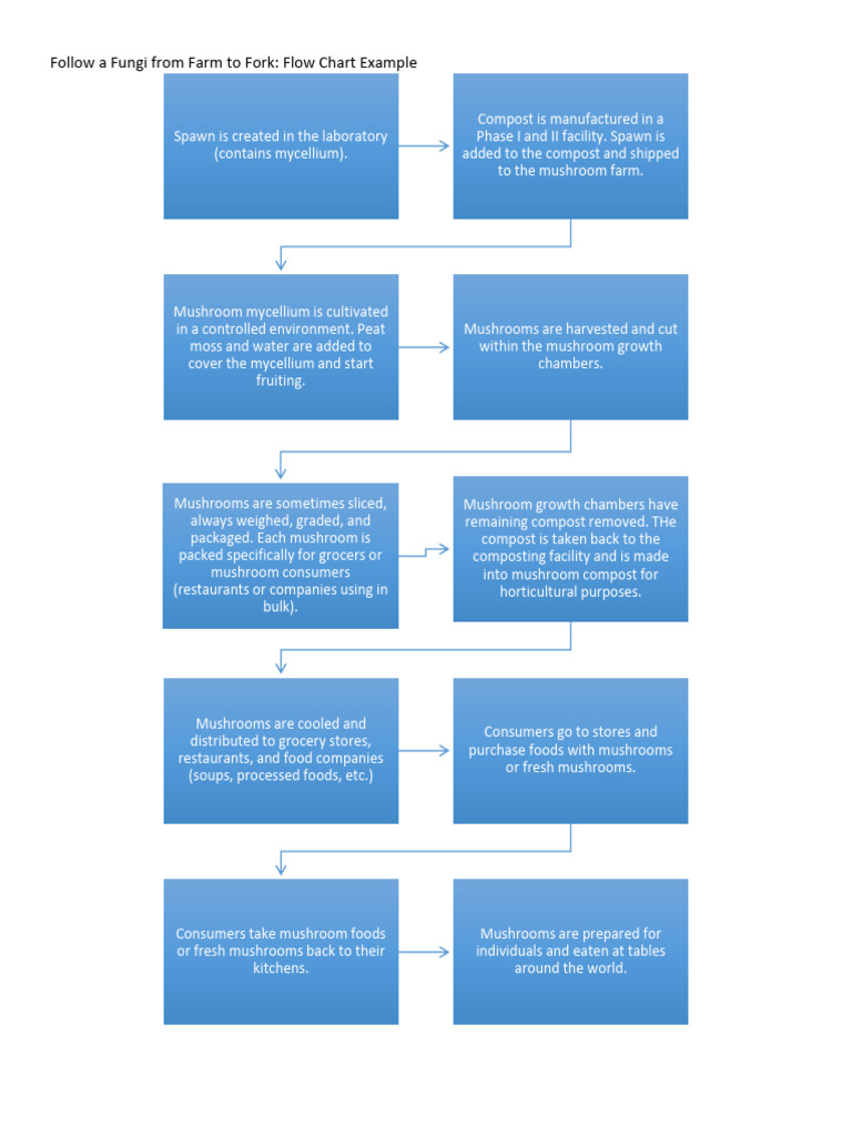 Fungi Farm To Fork Flow Chart | PDF | Technology & Engineering