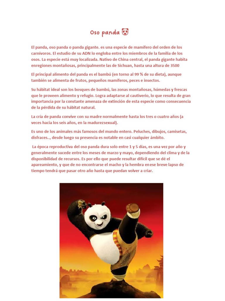 Oso Panda | PDF | Hogar y jardín | Ciencia y matemática