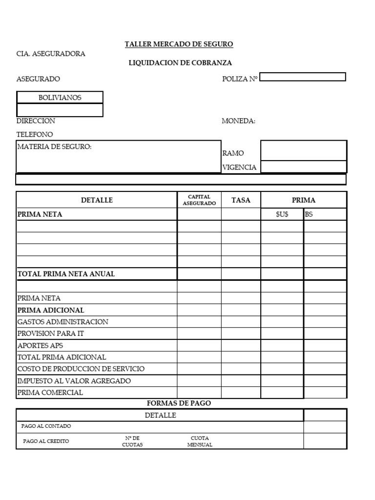 Liquidacion Cobranza Formato | PDF