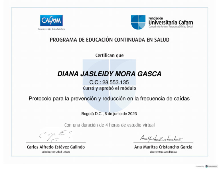 Protocolo para La Prevenci - N y Reducci - N en La Frecuencia de Ca - Das | PDF