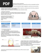 PDF Cartilha Grampos PPR | PDF | Dente | Prótese