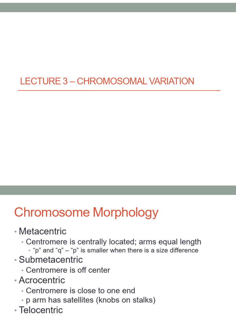 Chromosomal Variation | PDF | Chromosome | Ploidy