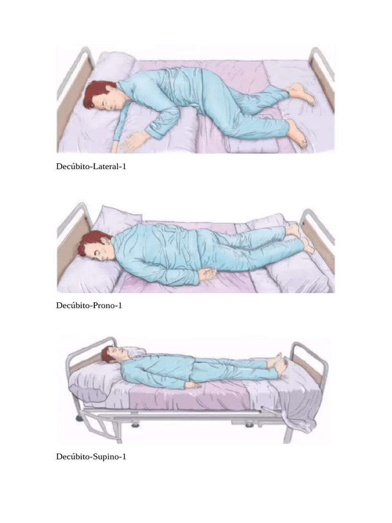 Diferentes Posiciones Anatómicas | PDF | Deportes y actividades al aire ...