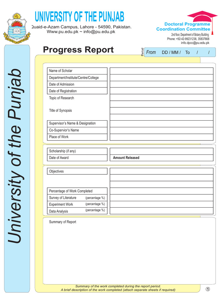 Progress Report Proforma (Non HEC) | PDF | Hedge (Finance) | Speculation