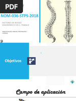 Norma Oficial Mexicana Nom-036-1-Stps-2018 | PDF | Factores humanos y ...