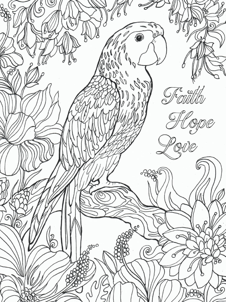 Bird Coloring Pages | PDF