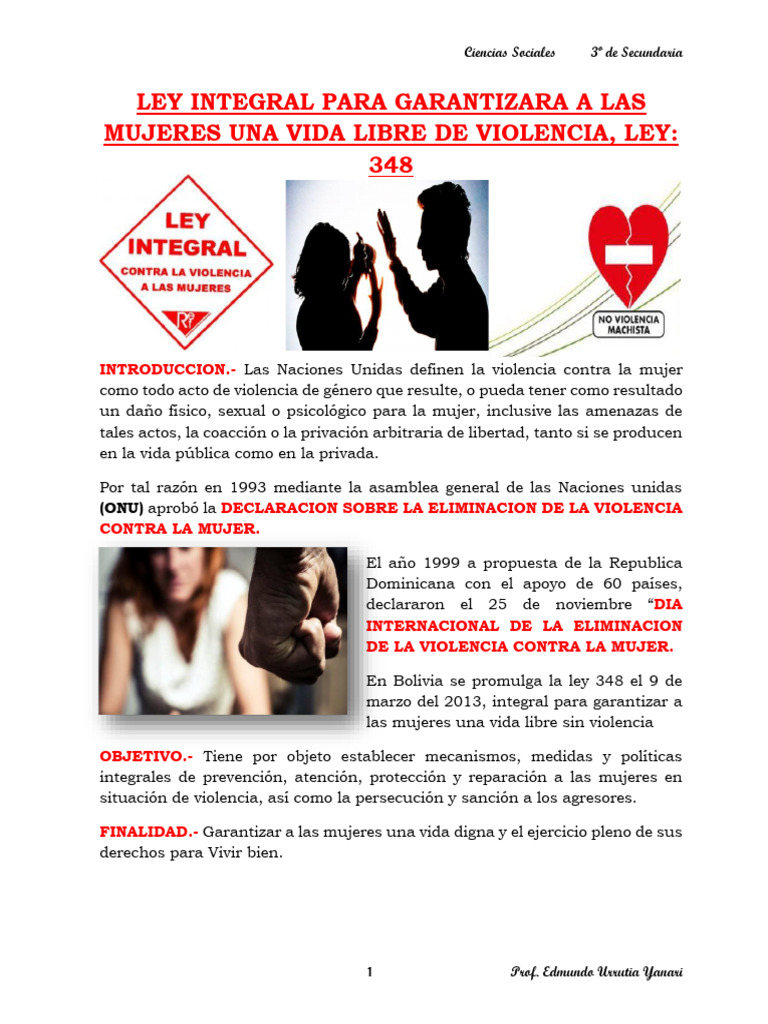 Ley Integral para Garantizara A Las Mujeres Una Vida Libre de Violencia ...