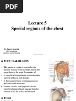 Mnemonics for Skeleton & Muscles | PDF | Human Leg | Foot