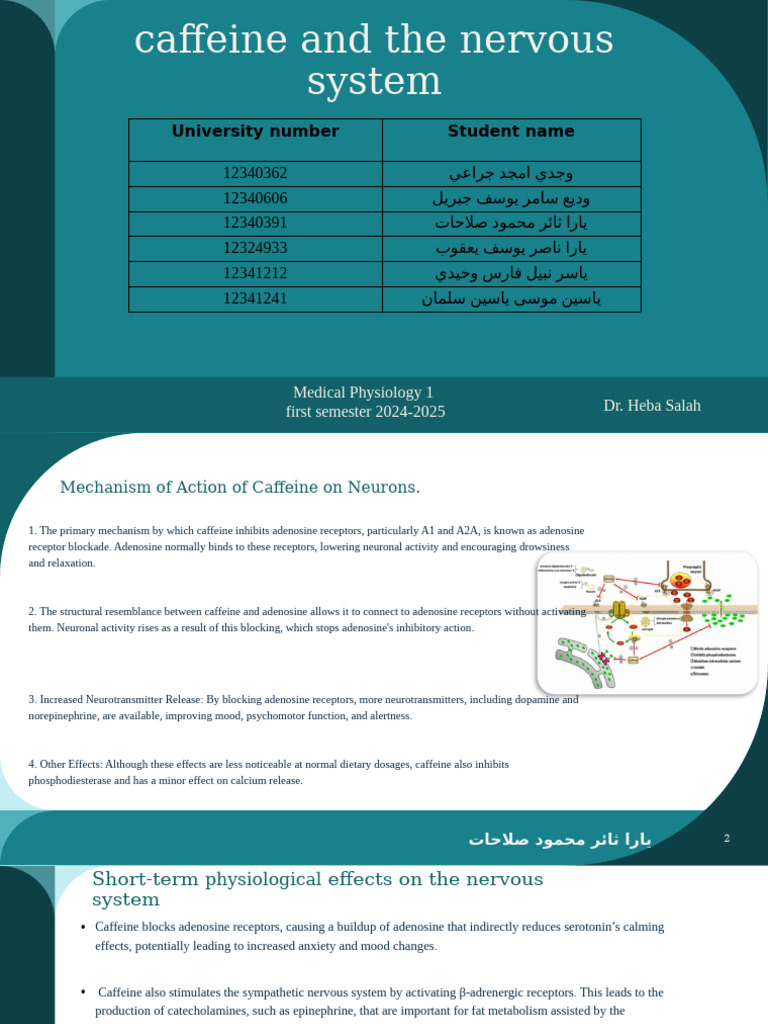 Caffeine and The Nervous System | PDF | Caffeine | Stress (Biology)