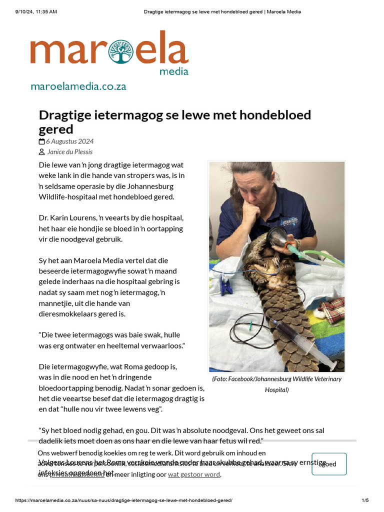 Dragtige Ietermagog Se Lewe Met Hondebloed Gered - Maroela Media | PDF