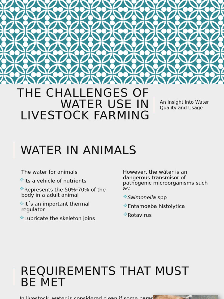 The Challenges of Water Use in Livestock Farming | PDF | Water ...