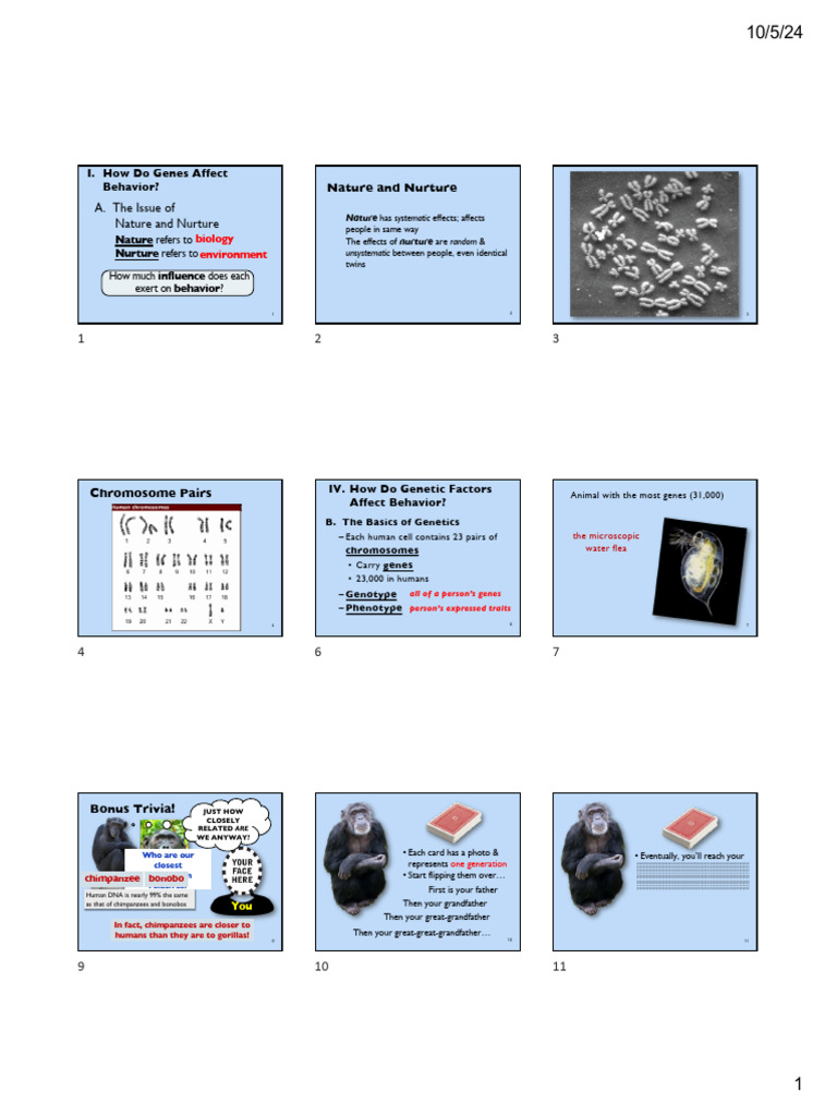 AP 02 Brain & Behavior Notes | PDF | Nature Versus Nurture | Gene