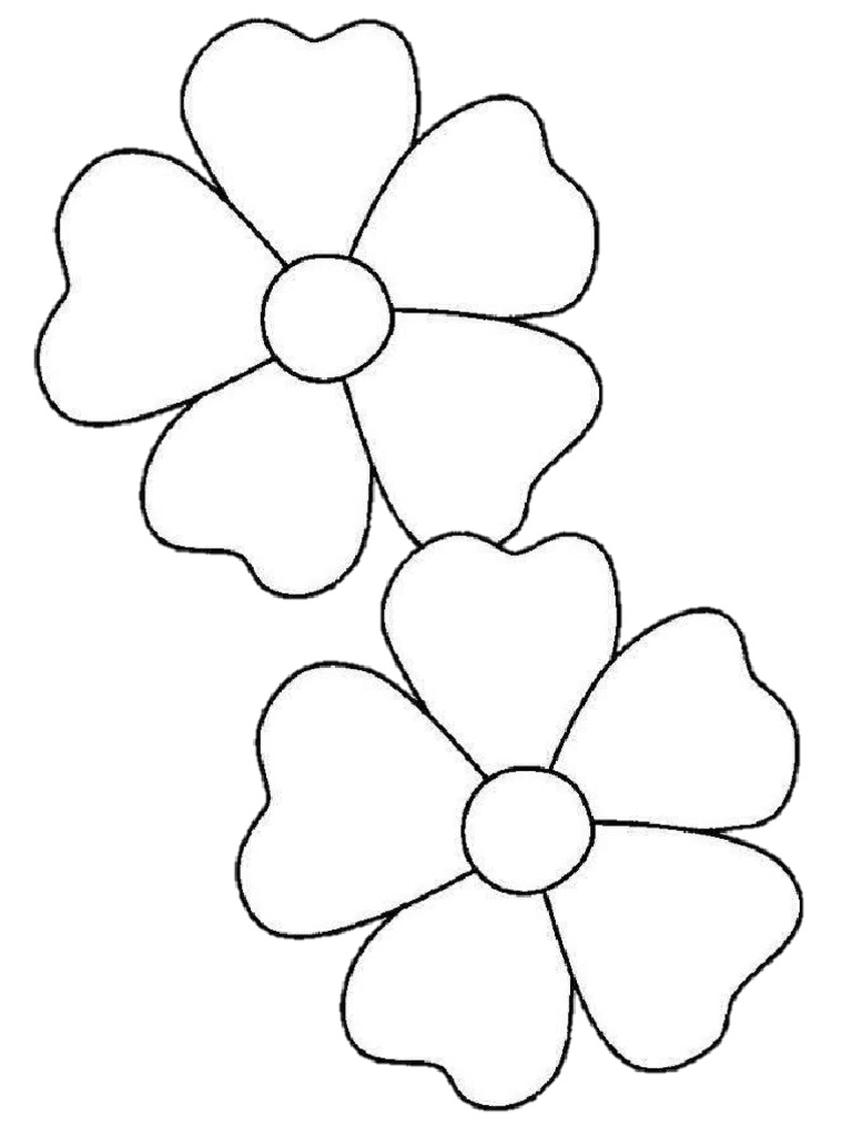 Flor Aro | PDF