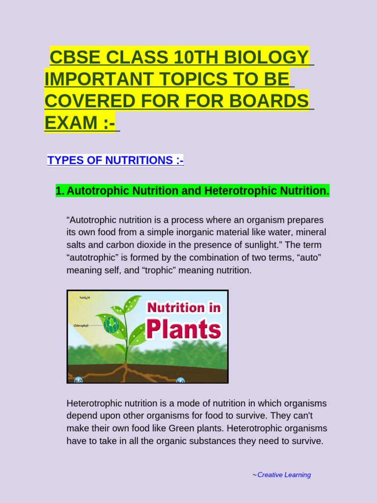 Biology Important Topics 10th | PDF | Reproductive System | Kidney