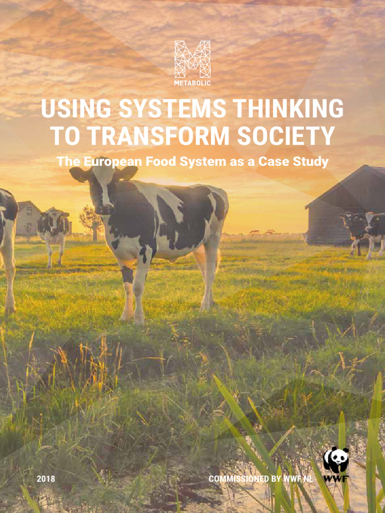 Using Systems Thinking To Transform - EU Food System As A Case Study ...