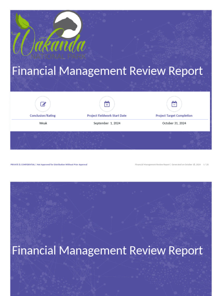 WNP Finance Control Review | PDF | Internal Audit | Internal Control
