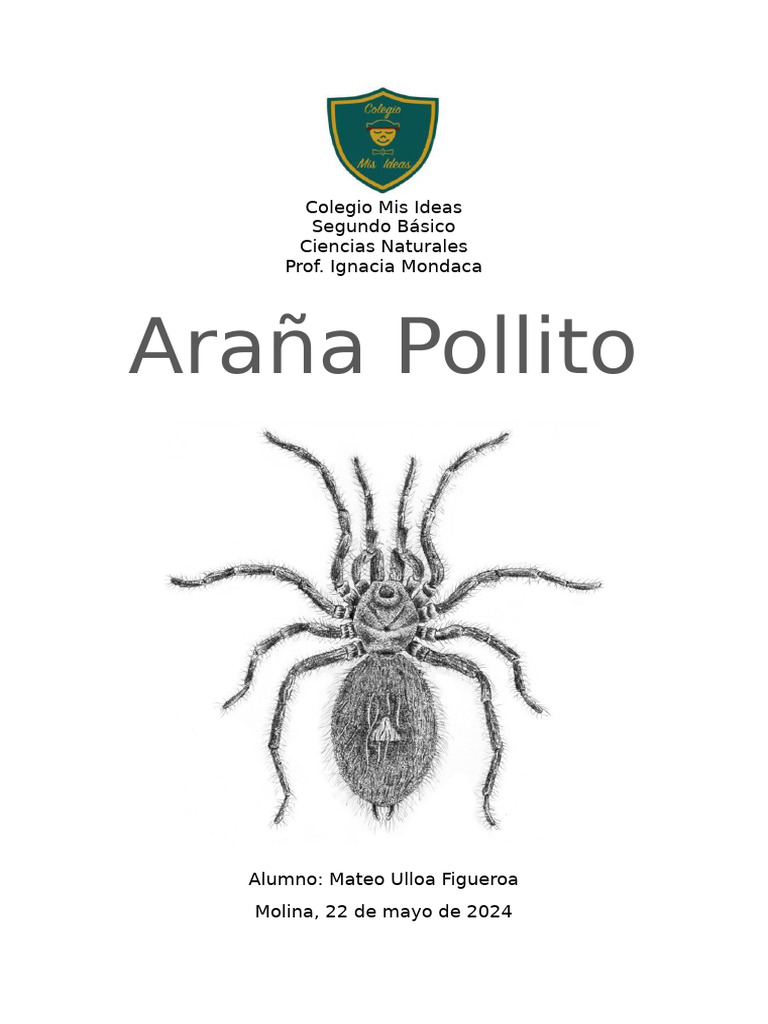 Portada Araña Pollito | PDF