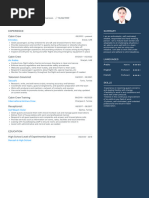Emirates Cabin Crew CV Sample | PDF