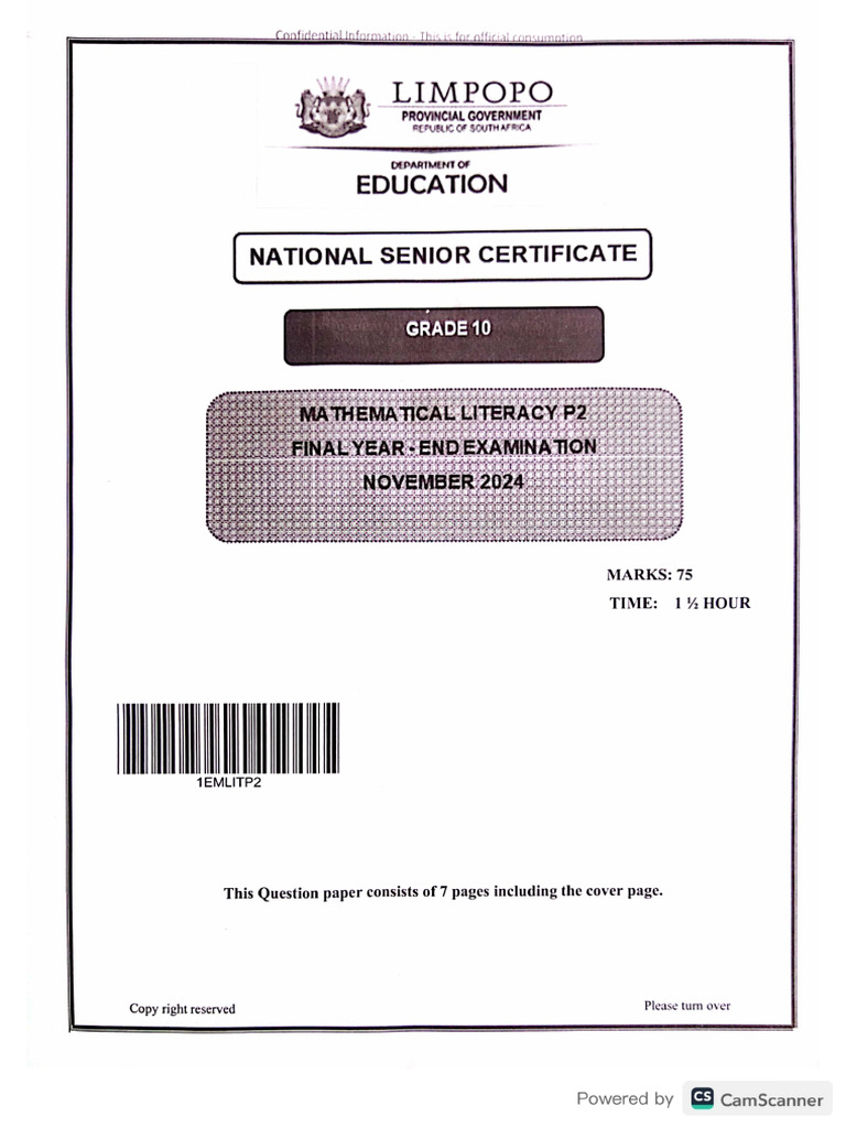 2024 November Grade 10 Mat Lit P2 | PDF