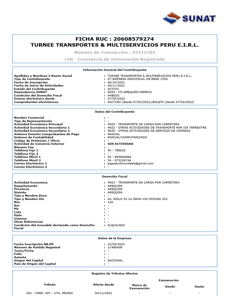 Ficha Ruc Eirl | PDF | Industrias de servicio