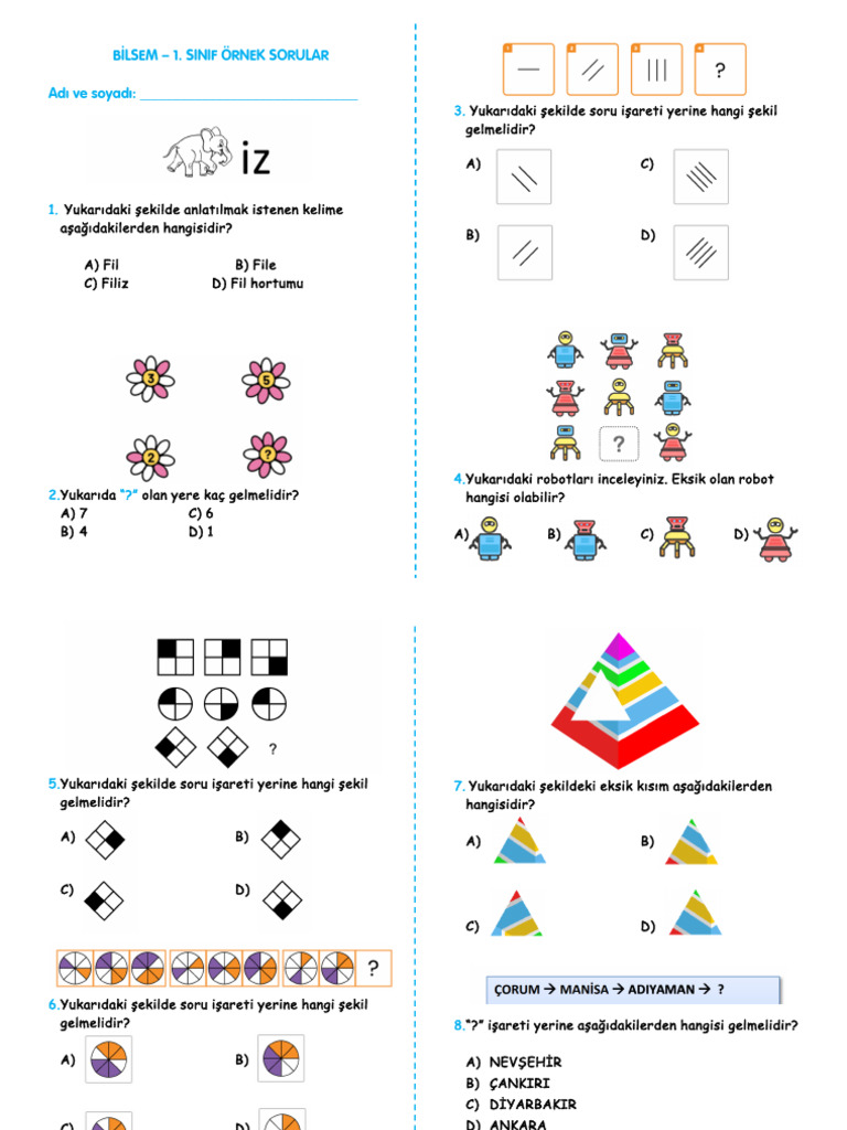 1 Sinif Bilsem Ornek Sorular | PDF