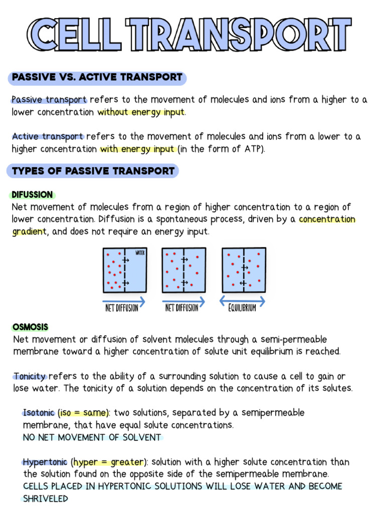 Passive vs. Active Transport: Difussion | PDF