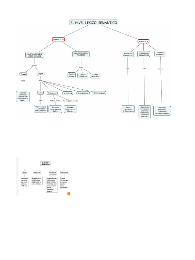 Nivel Léxico Semántico ESQUEMA | PDF