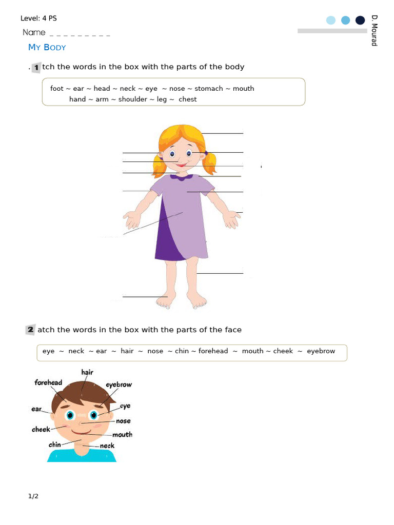 Body Parts-Revision | PDF