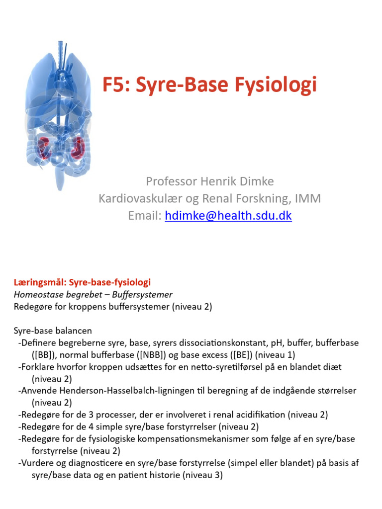 Syre Base | PDF