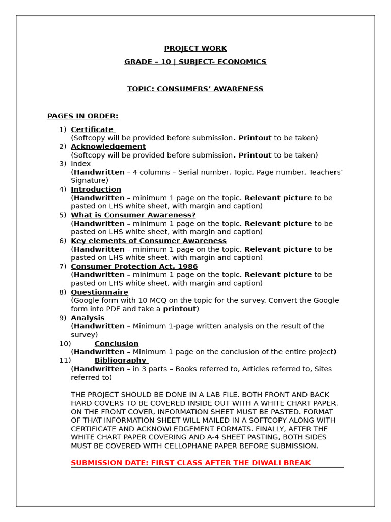 Economics Class-10 Project Format | PDF | Finance & Money Management | Art