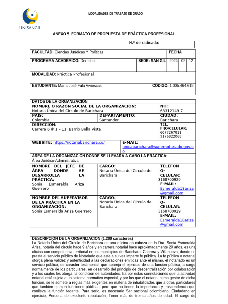 Formato Prácticas Profesionales | PDF