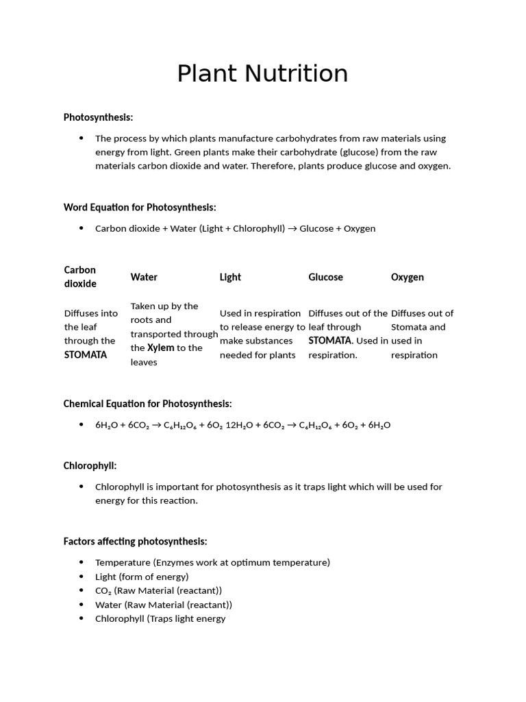 Plant Nutrition For P4 | PDF | Leaf | Photosynthesis