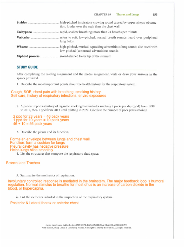 Thorax | PDF | Thorax | Lung