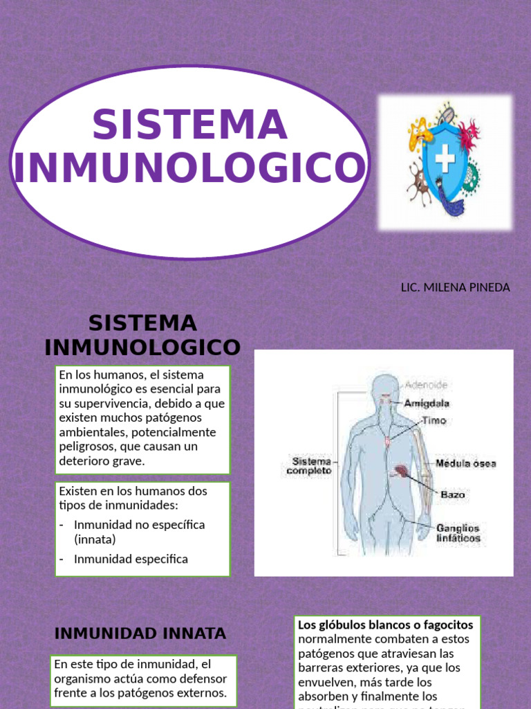 Sistema Inmunologico | PDF | Sistema inmune | Célula T