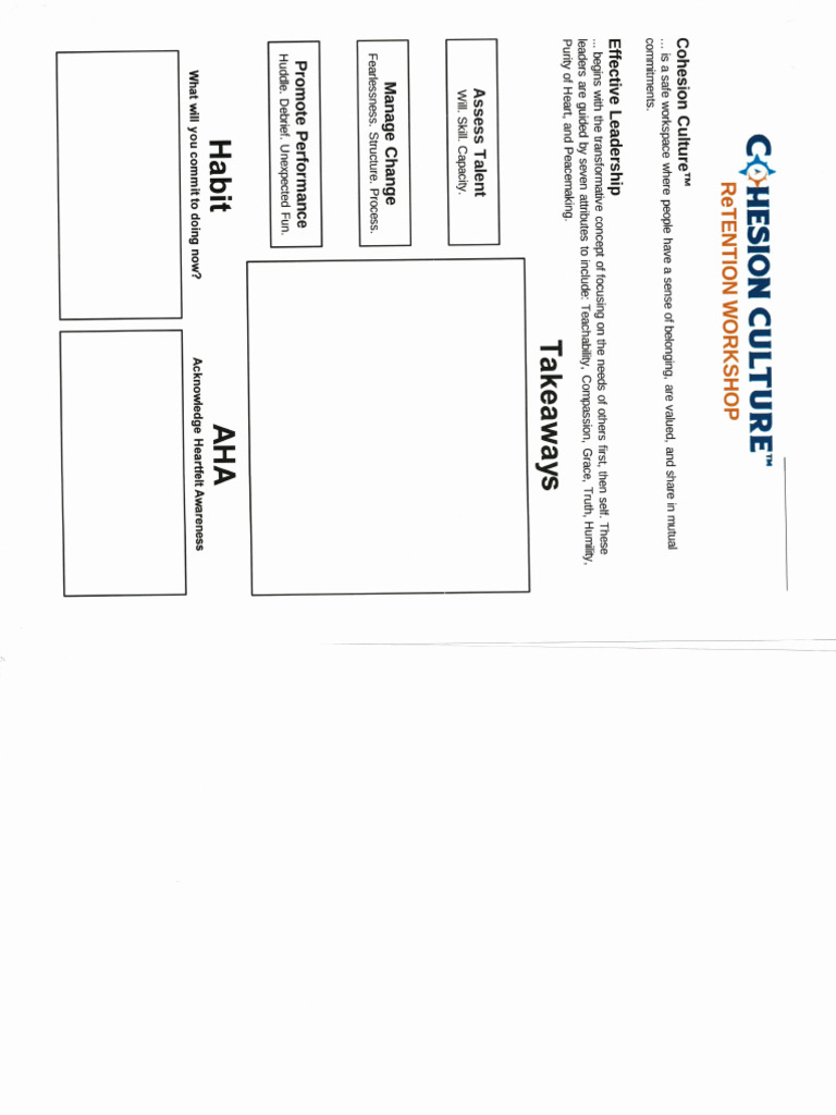 Cohesion Culture Notes | PDF