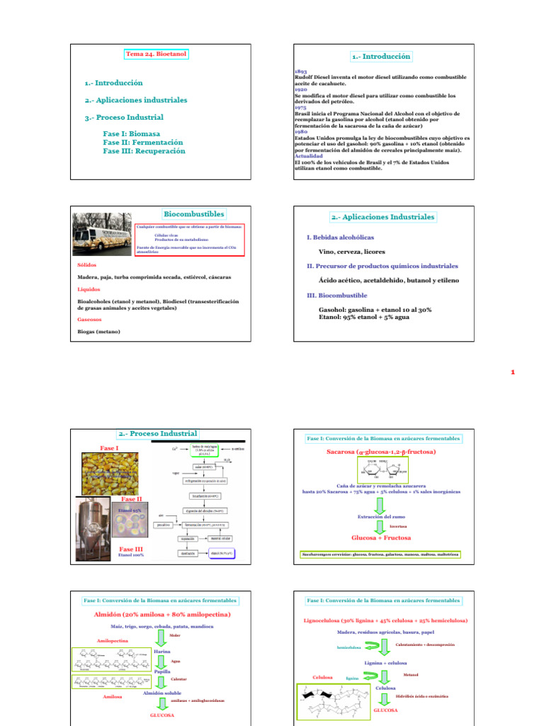 Tema 24 Bioetanol | PDF | Biocombustible | Glucosa