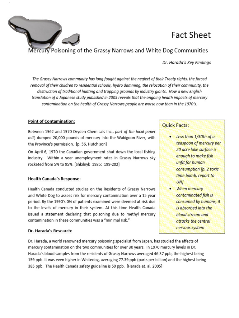 Mercury Fact Sheet FINAL | PDF | Medical Specialties | Diseases And ...