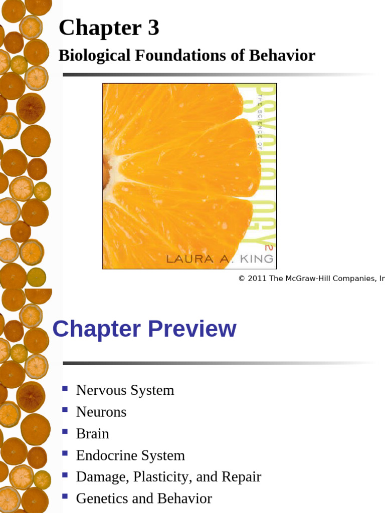 king2_ppt_ch03 | PDF | Synapse | Neurotransmitter