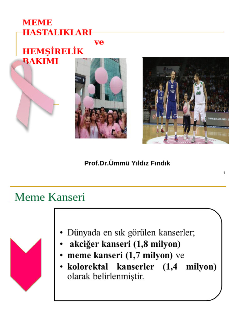 7 Meme Hastalıkları | PDF