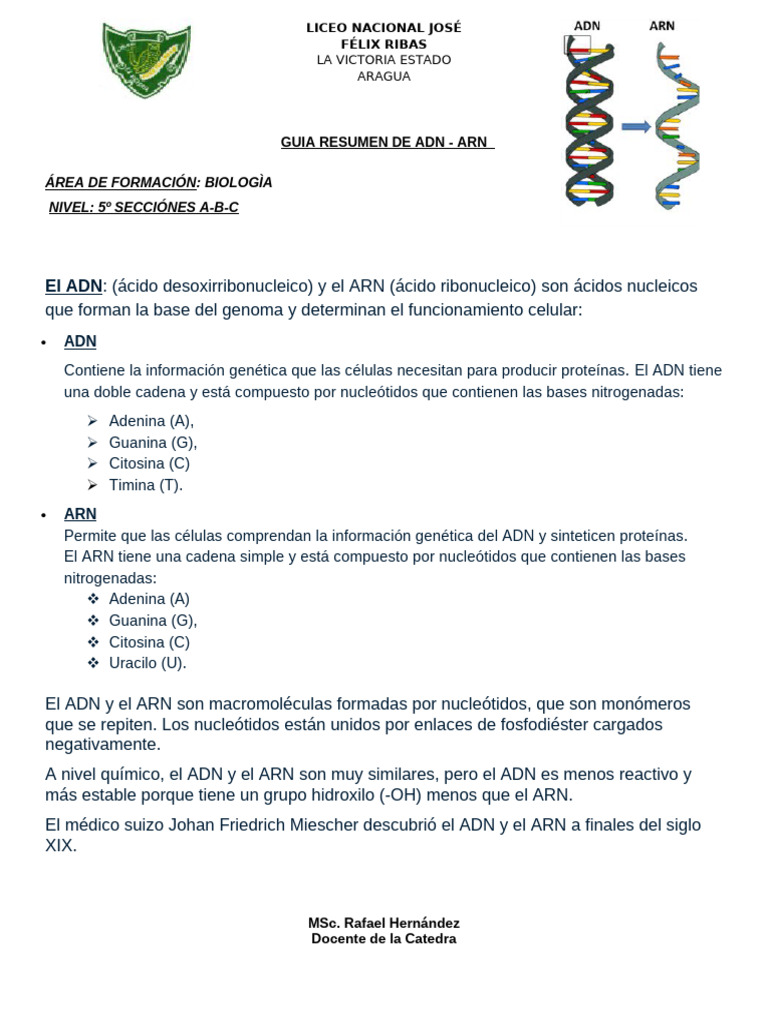 Resumen de ADN y ARN en Biología | PDF